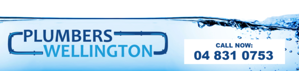 Plumbers Wellington - Commercial & Residential | 04 831 0753